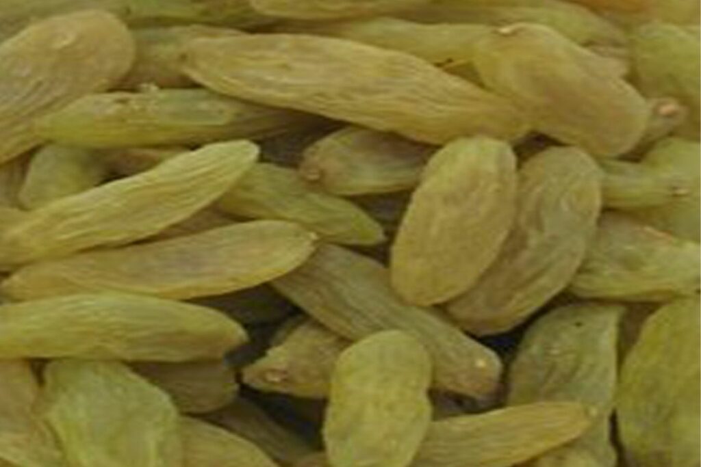 Shop - Dry Fruit Shop in Amritsar - Wholesale Dry Fruit Shop Amritsar